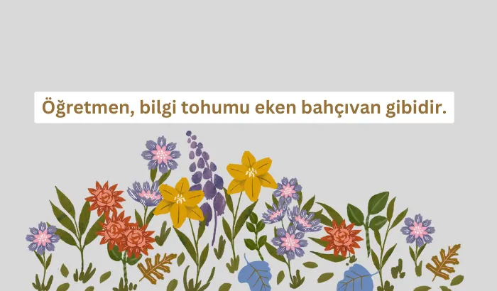 Müəllimə aid statuslar - statuslar.az